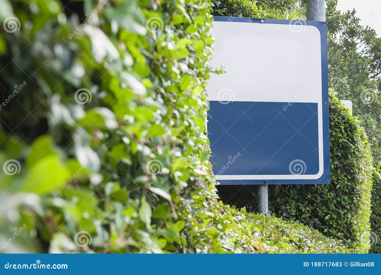 Blank sign in hedge stock image. Image of roadsign, signs - 188717683
