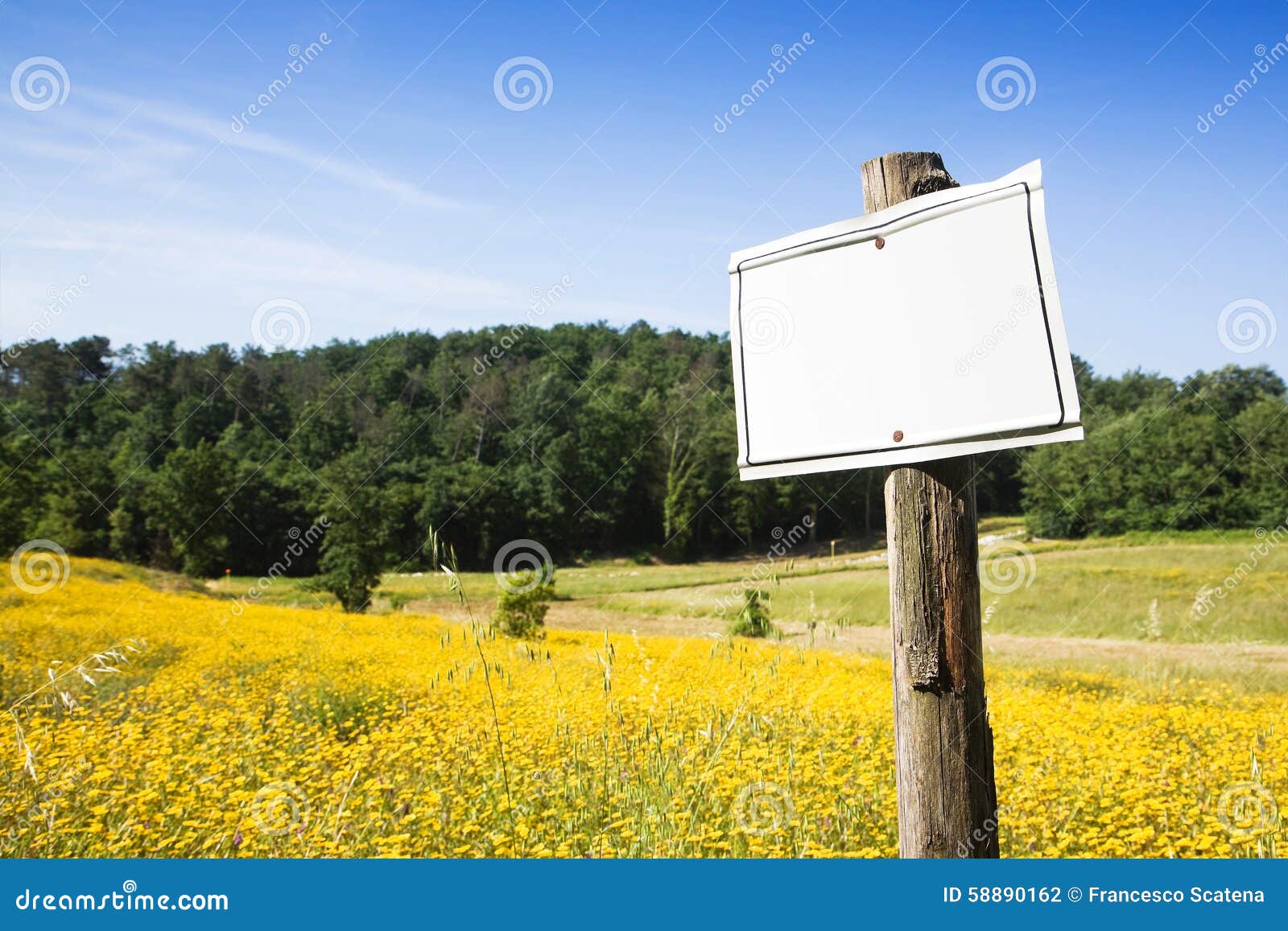Blank Sign Indicating in the Countryside Stock Photo - Image of road ...