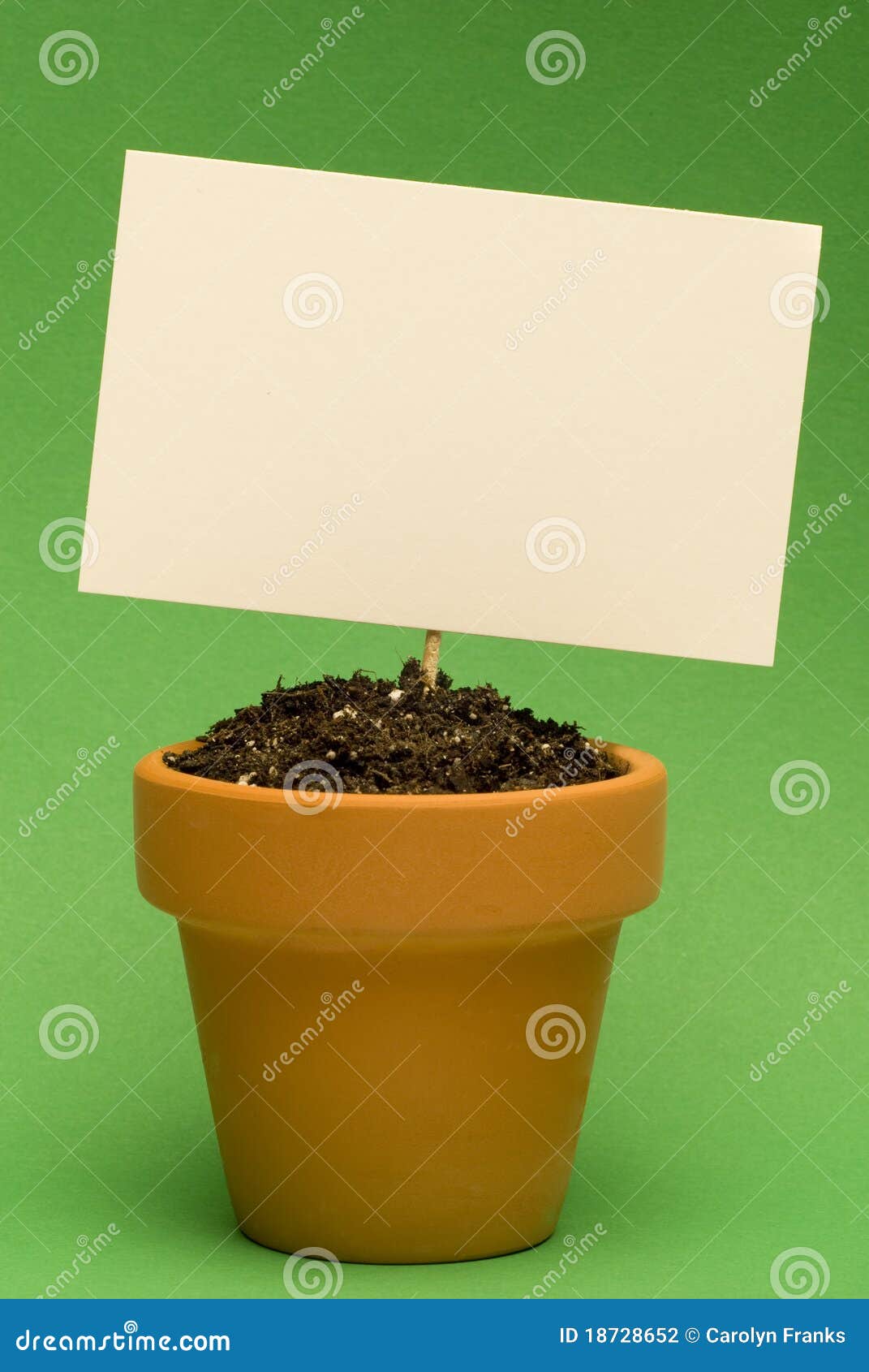 Blank Sign In Little Flower Pot Stock Photo - Image of sign ...