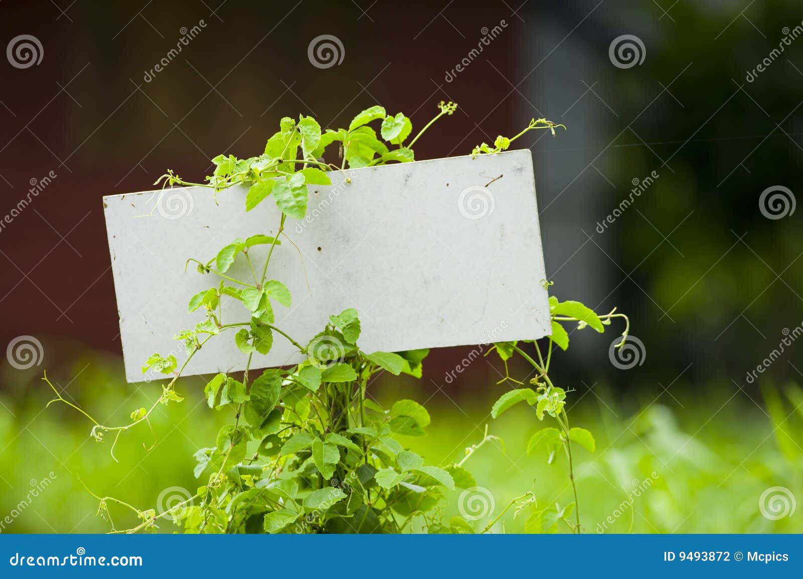 Blank Sign Out in the Green Stock Photo - Image of advertisement, grass ...