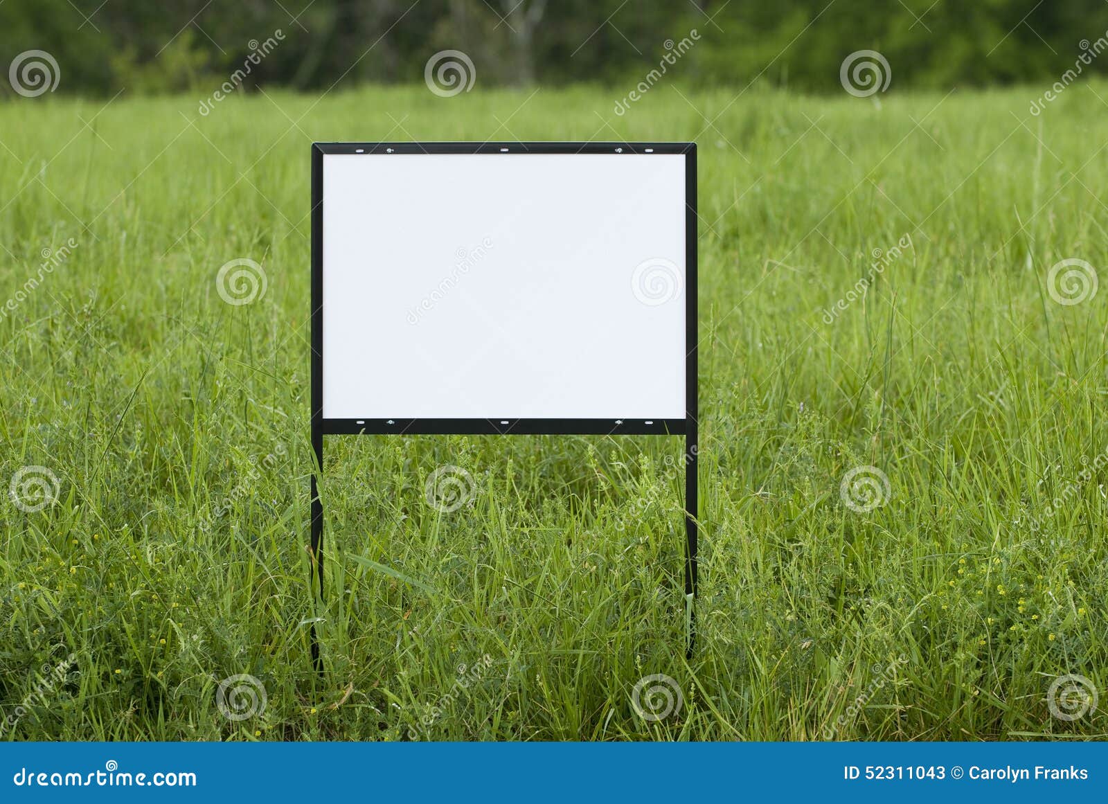 Blank Sign in Overgrown Field Stock Image - Image of commercial, meadow ...