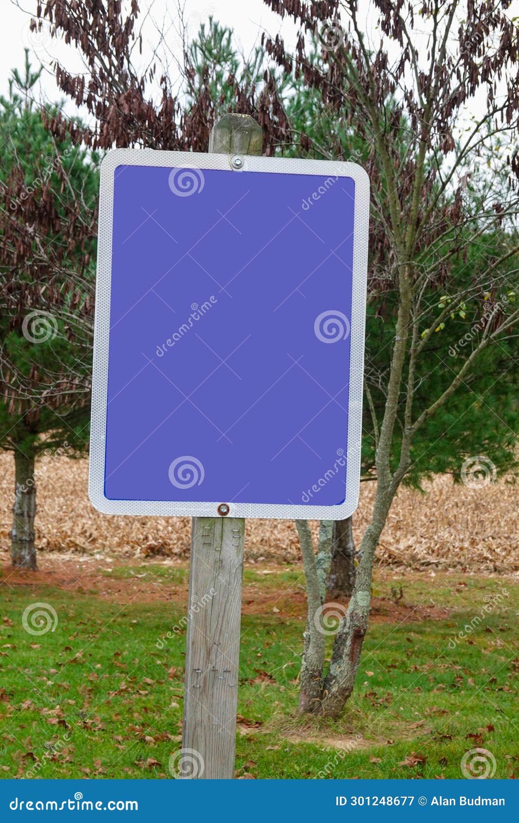 Blank Sign on Post in Front of Trees in a Park Stock Image - Image of ...