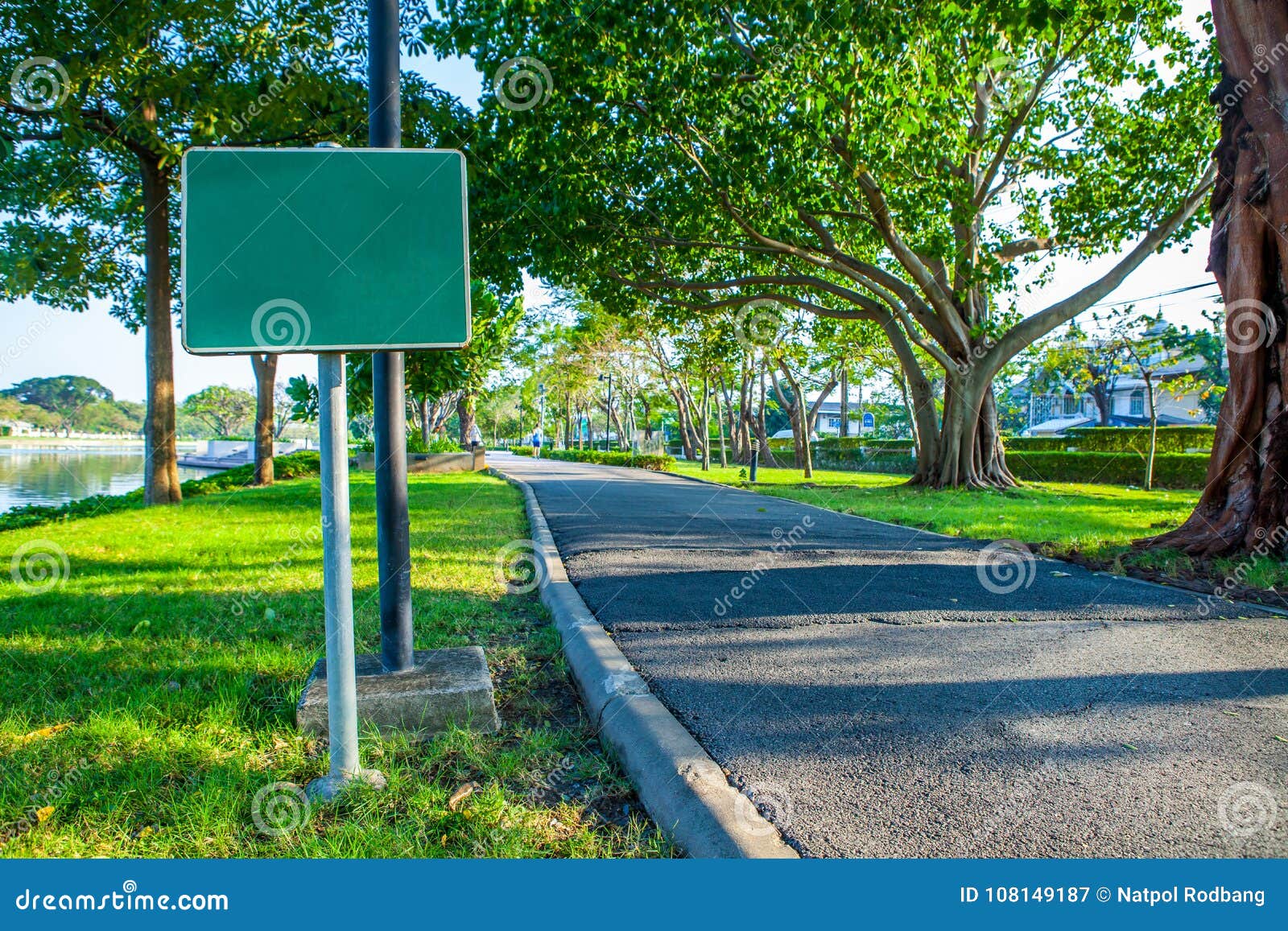 Road Pathway Jogging Track In The Public Park Under Big Tree Royalty ...
