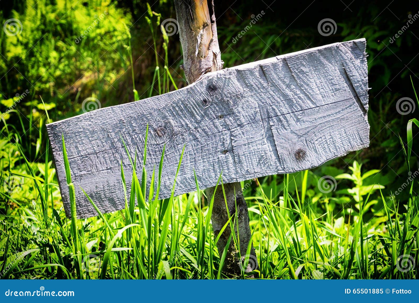Blank Sign with Space for Text Stock Image - Image of front, bill: 65501885