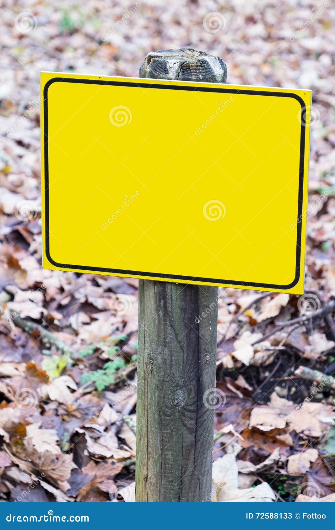 Blank Sign with Space for Text Stock Image - Image of grass, closeup ...