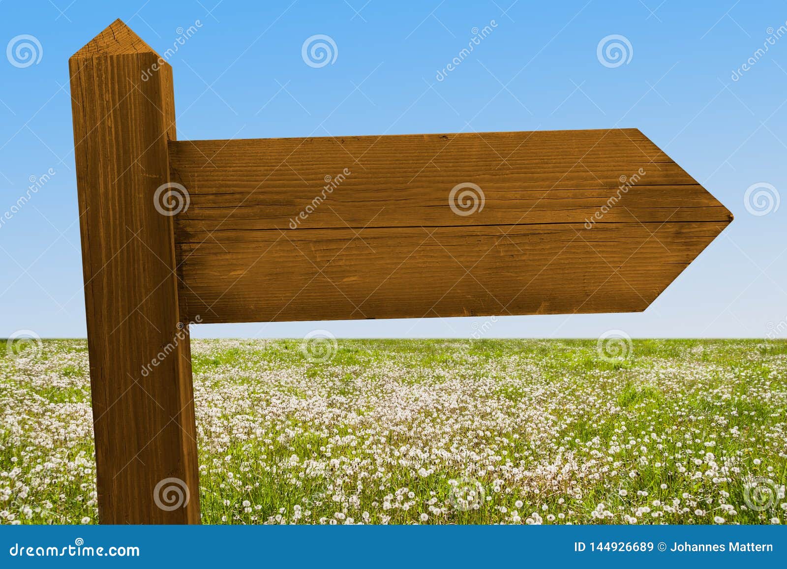 Blank Sign in Summer or Spring Stock Image - Image of banner, copy ...