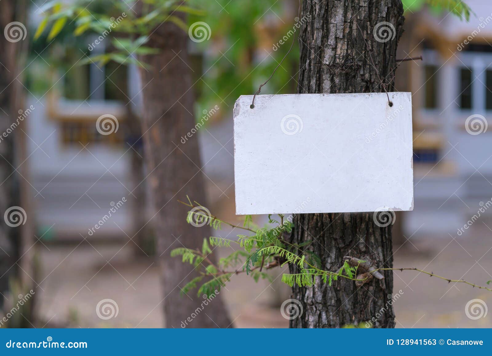 Blank Sign on Tree in the Wood Park Stock Image - Image of paper ...