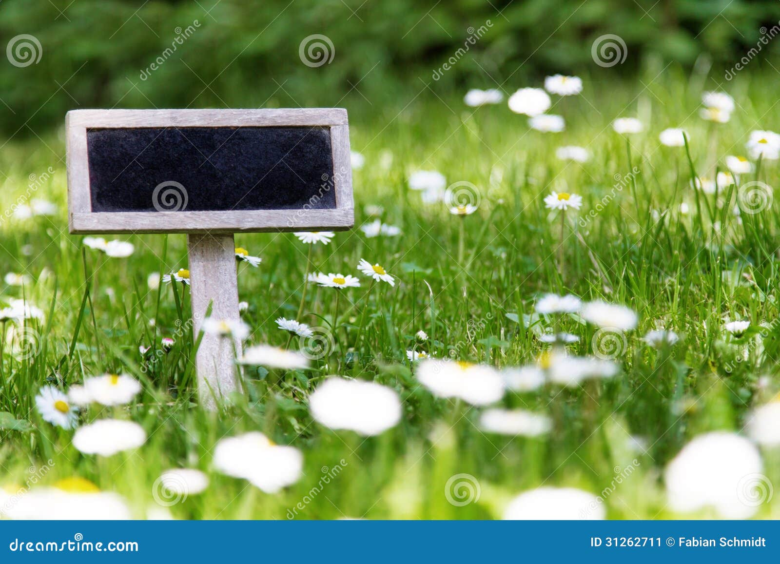 Blank Signboard in the Meadow Stock Image - Image of flowering, meadow ...