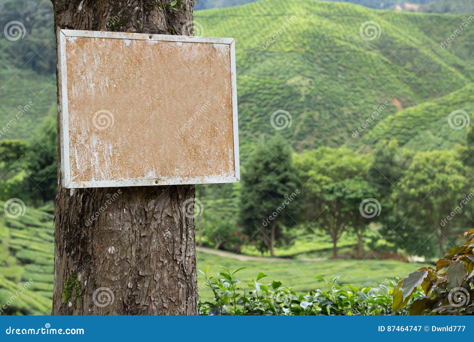 Signboard On Nature Trail Royalty-Free Stock Photo | CartoonDealer.com ...