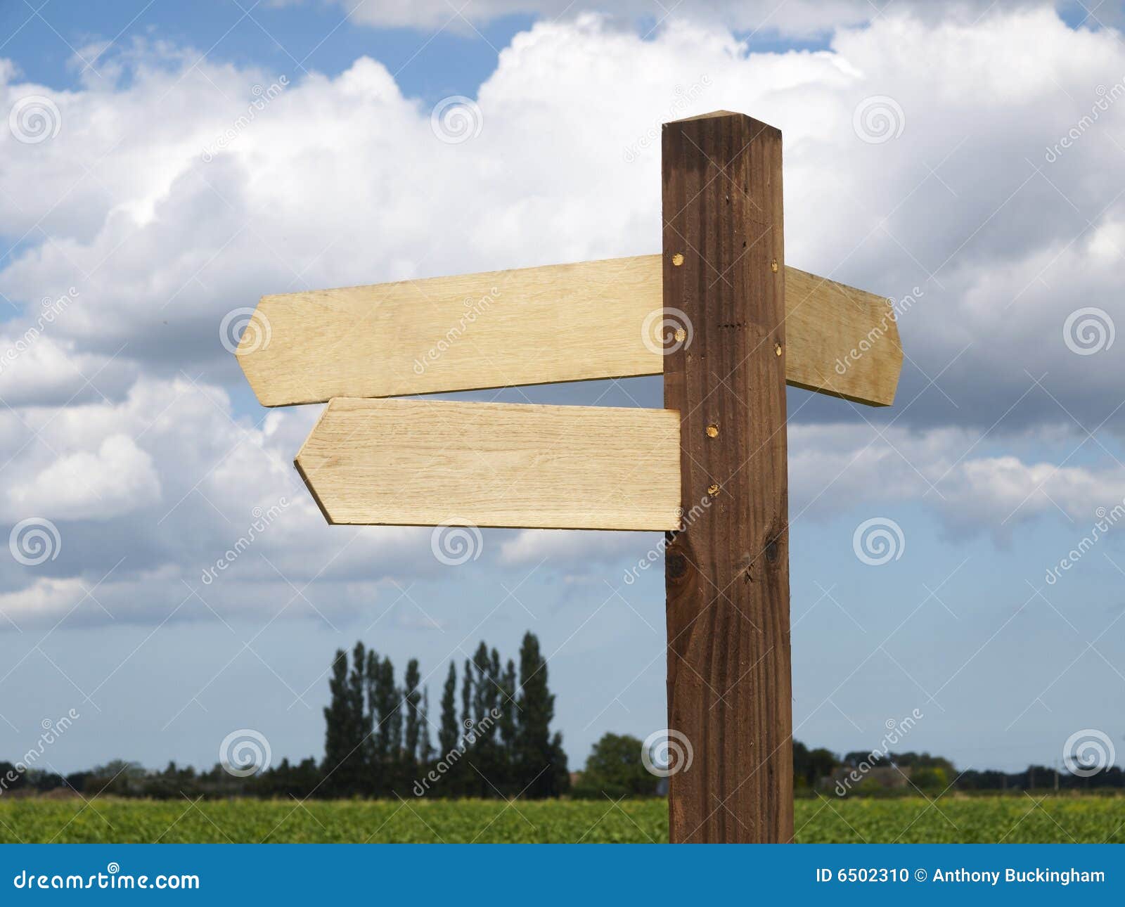 Blank signpost. stock photo. Image of post, space, blank - 6502310