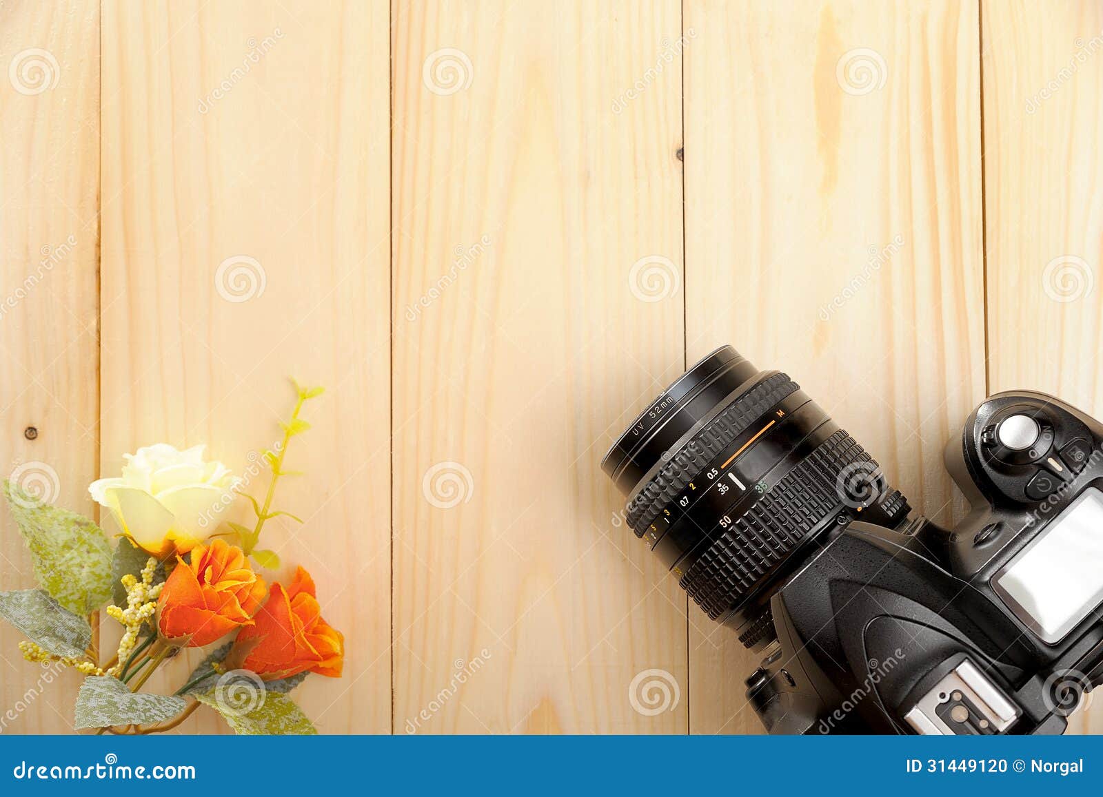 Blank slr camera screen stock photo. Image of electronic - 31449120