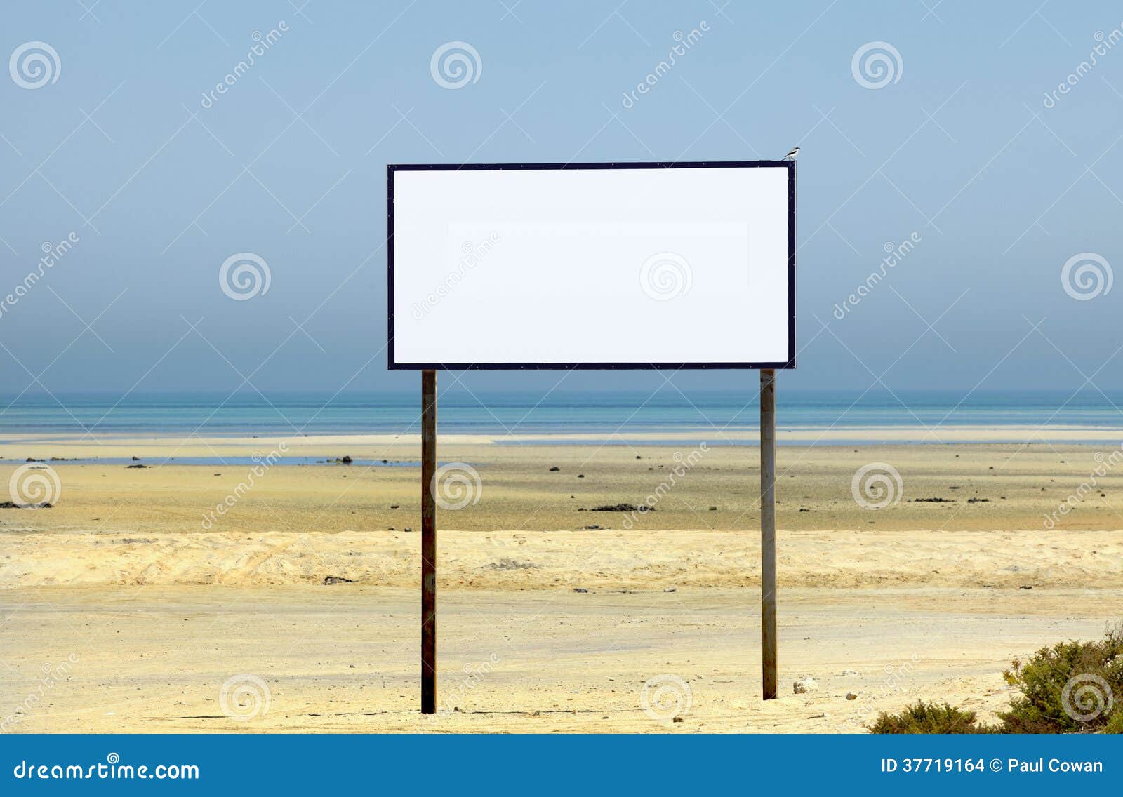 Blank space on beach sign stock photo. Image of communication - 37719164