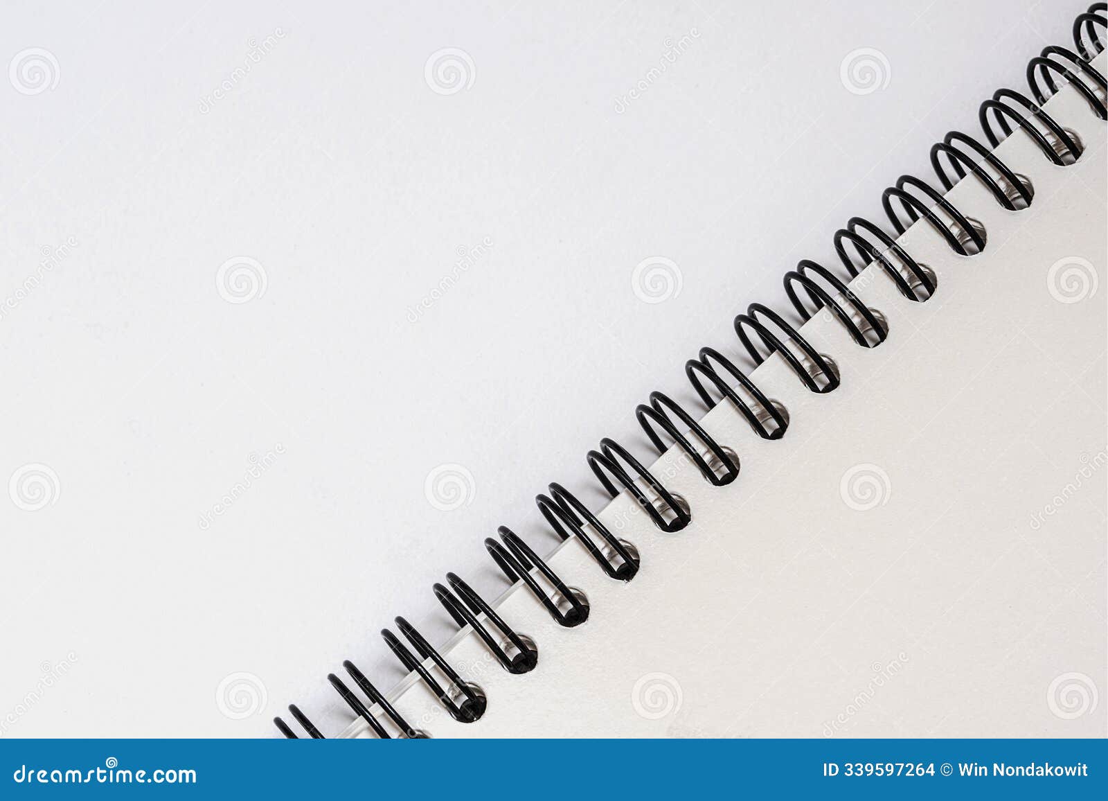 Spiral Notebook And Sticky Note And Kalanchoe On Pastel Minimalist ...