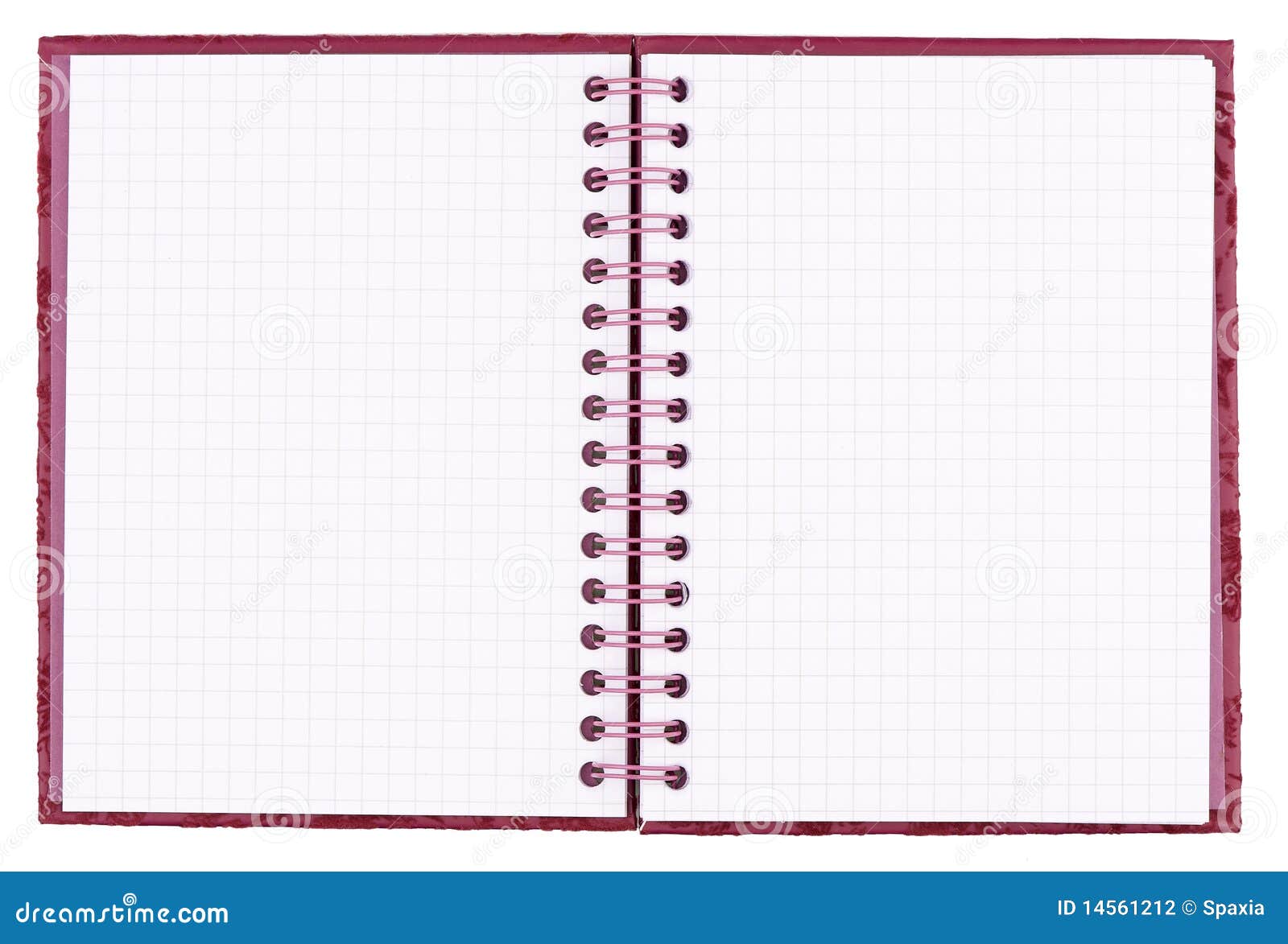 Squared Notebook Page With Red Margins. Torn Sheets Of Paper. Vector ...