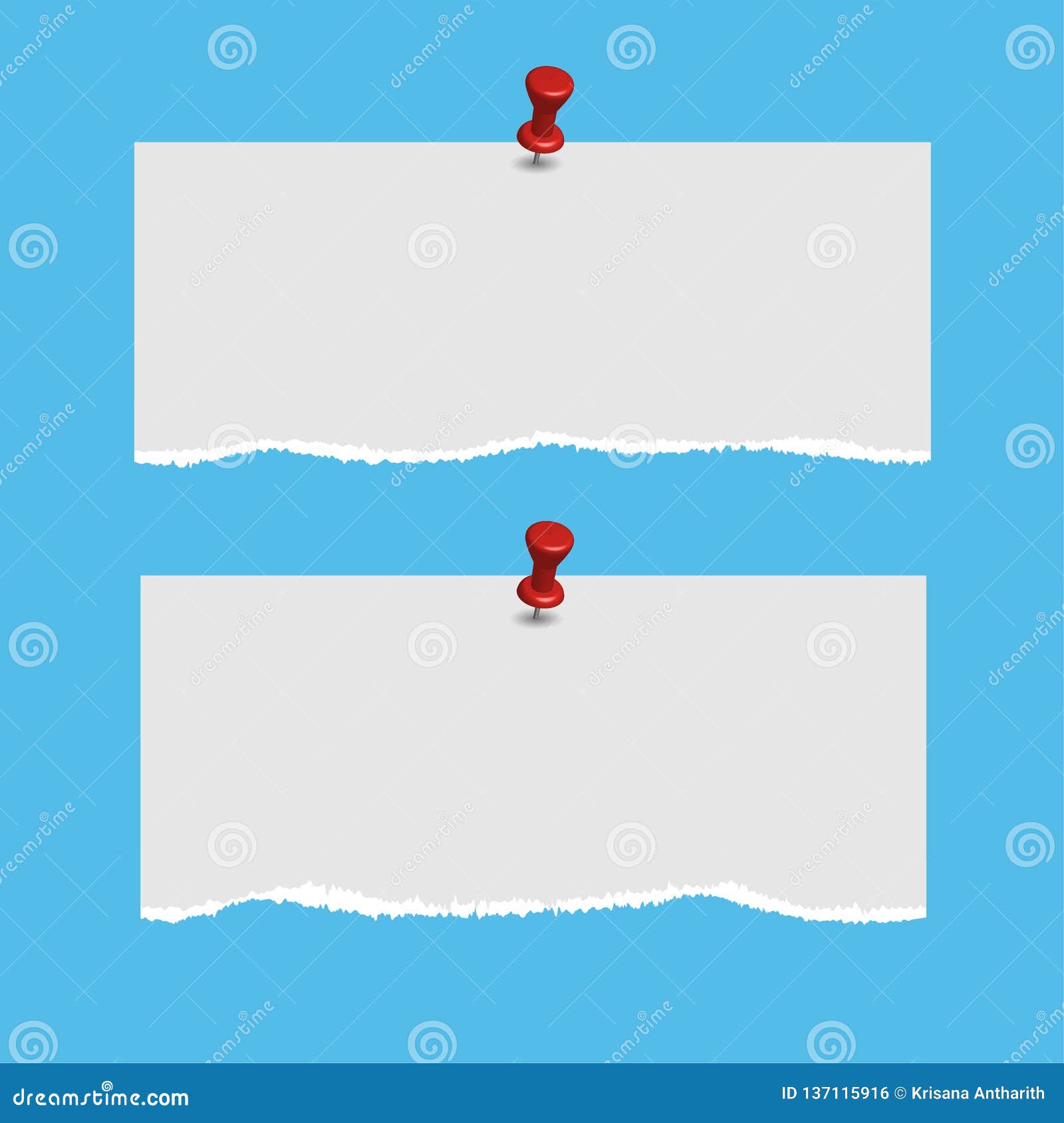 Blank Squared Notepad Pages and Pin. Note Paper Stuck with Red Pin ...