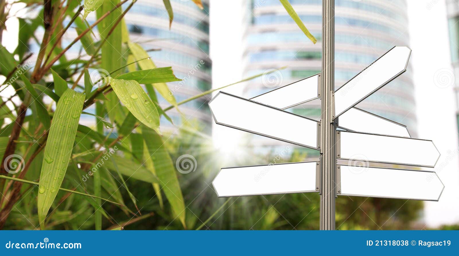 Blank street direction stock photo. Image of city, blank - 21318038