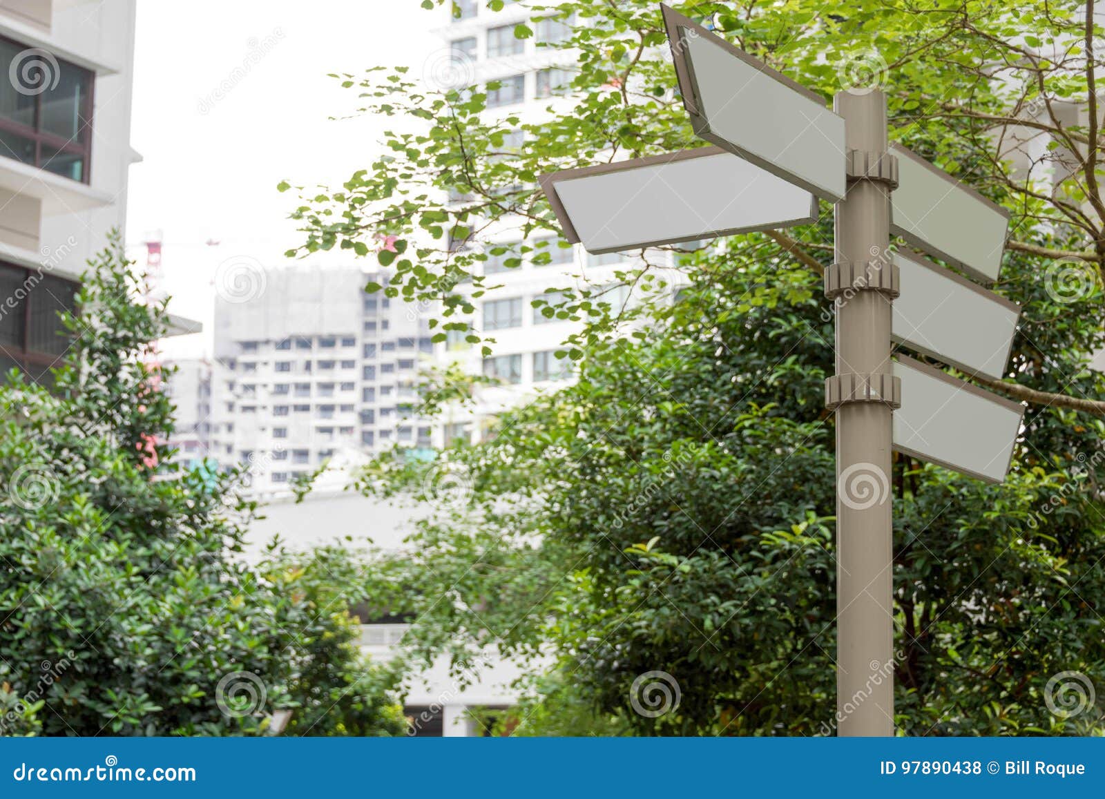 Blank Street Sign with Trees Background Stock Photo - Image of avenue ...