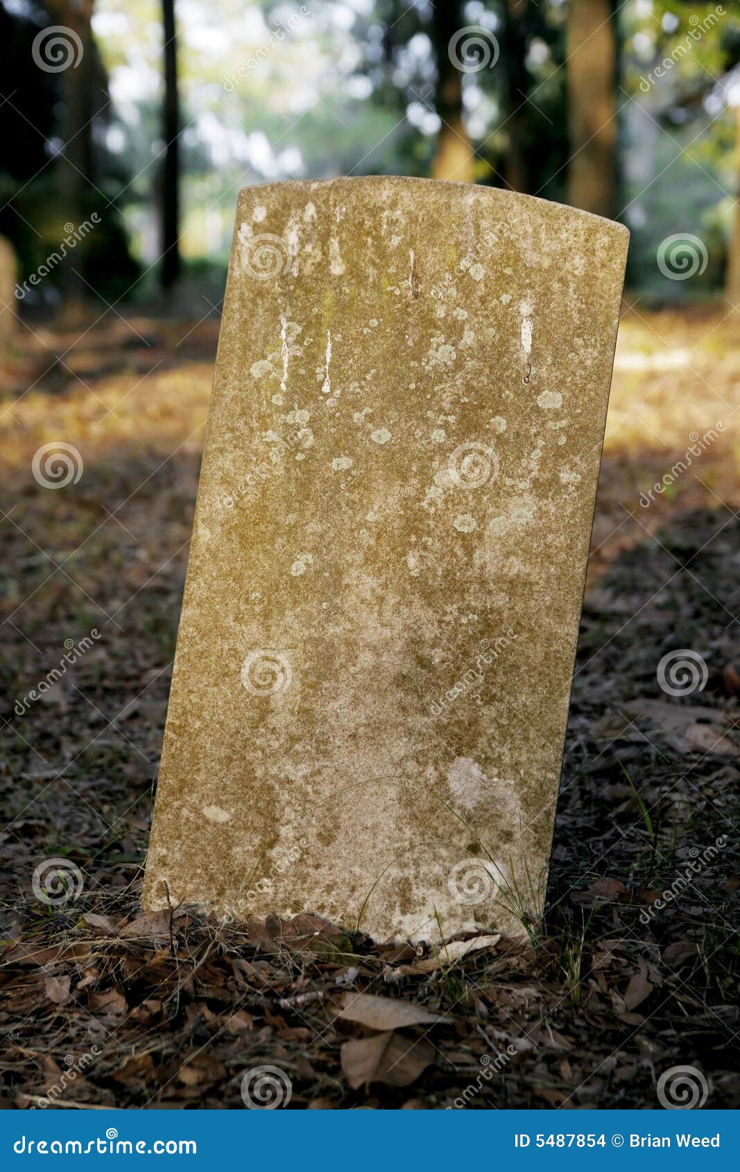 Blank Tombstone stock photo. Image of frightening, ground - 5487854