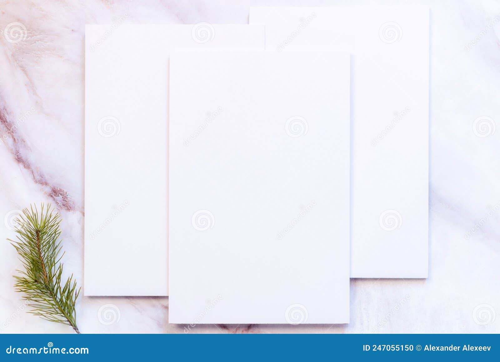Blank Vertical White Sheets Business Design Template Stock Photo ...