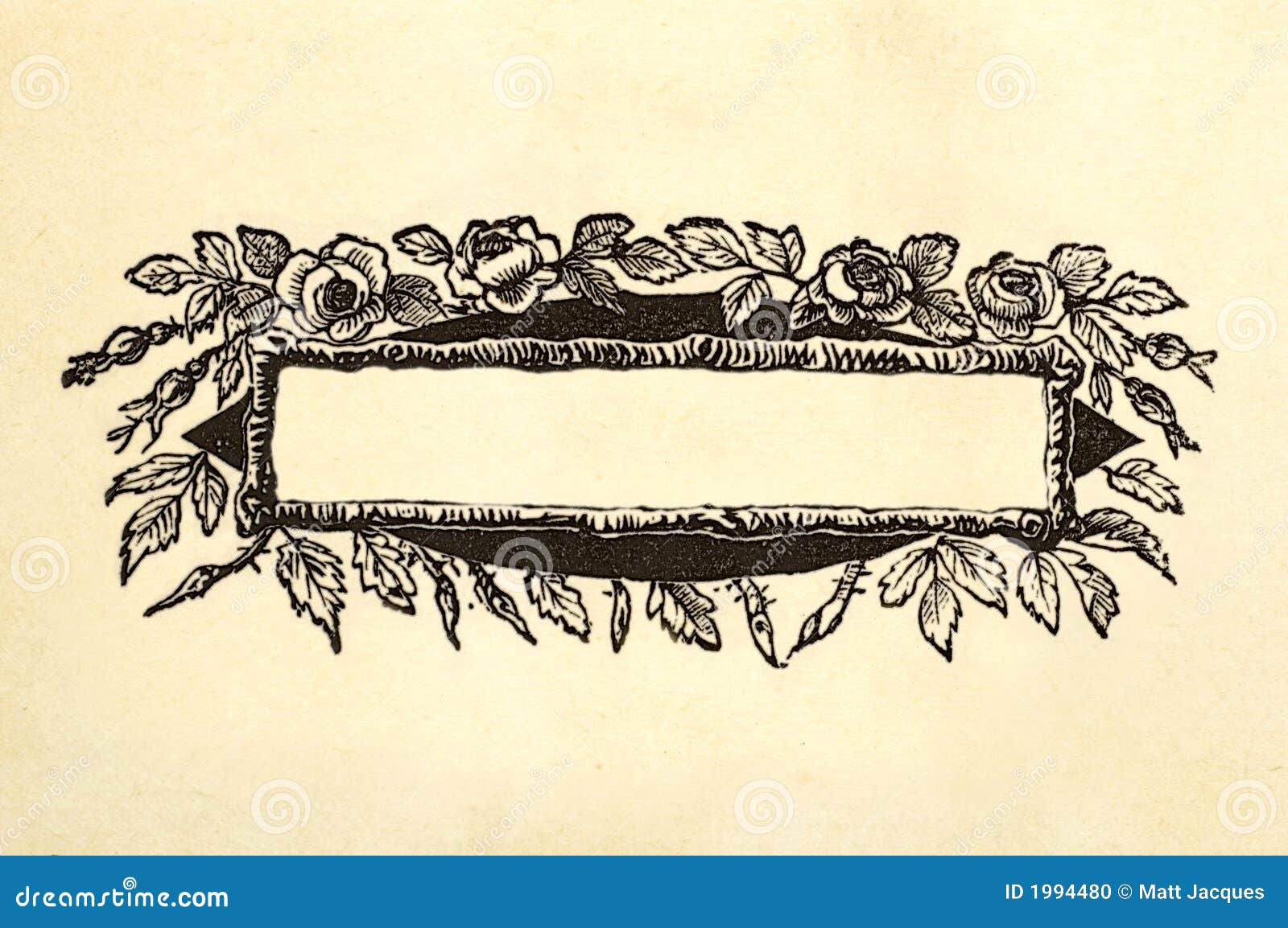 Blank Victorian Floral Title Box Stock Photo - Image of deco, copy: 1994480