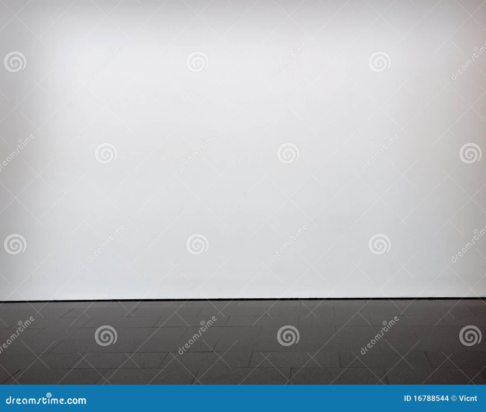 Blank wall stock photo. Image of contemporary, room, built - 16788544
