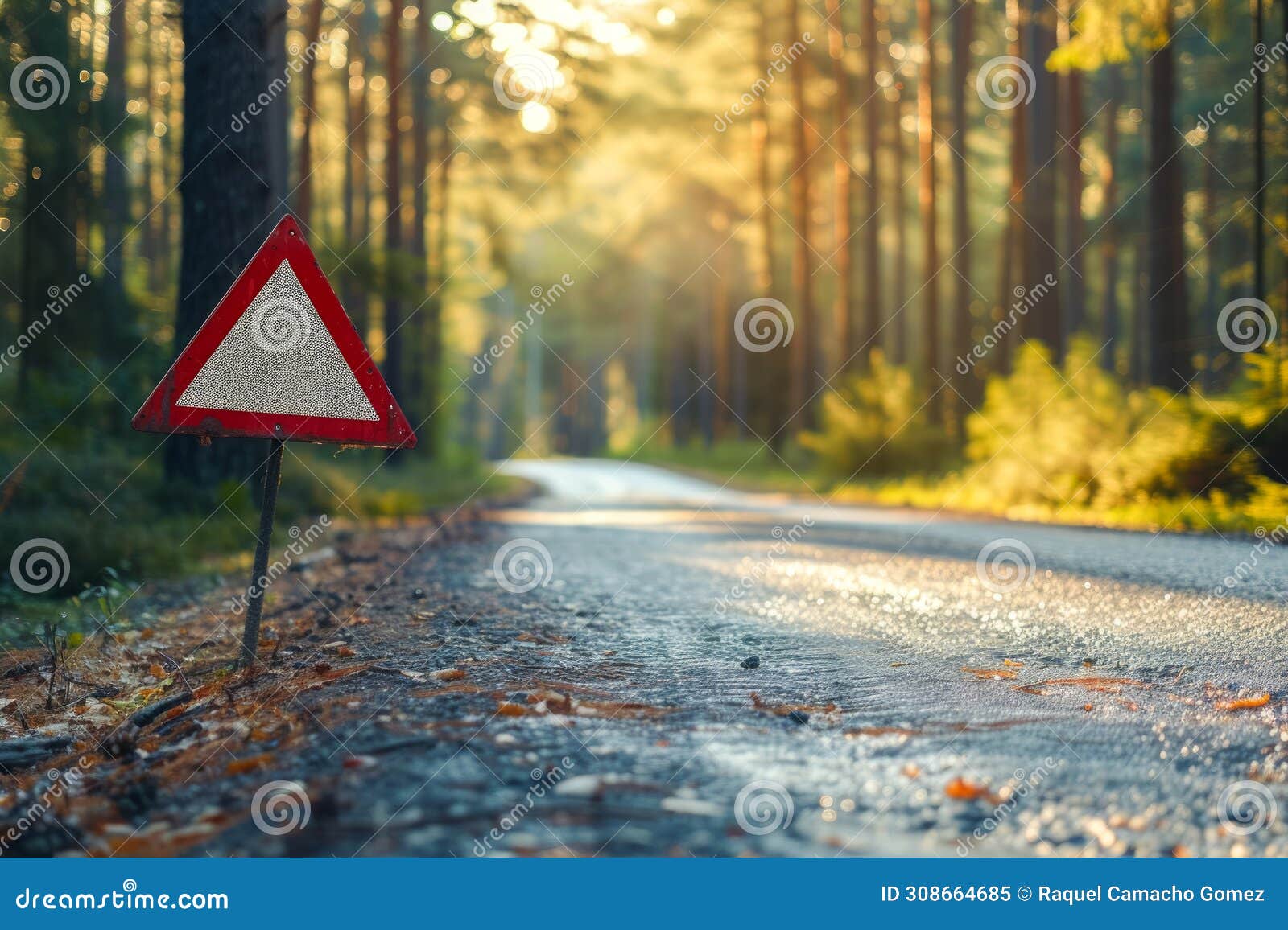 Blank Warning Sign at the Edge of a Road in the Forest. Copy Space ...