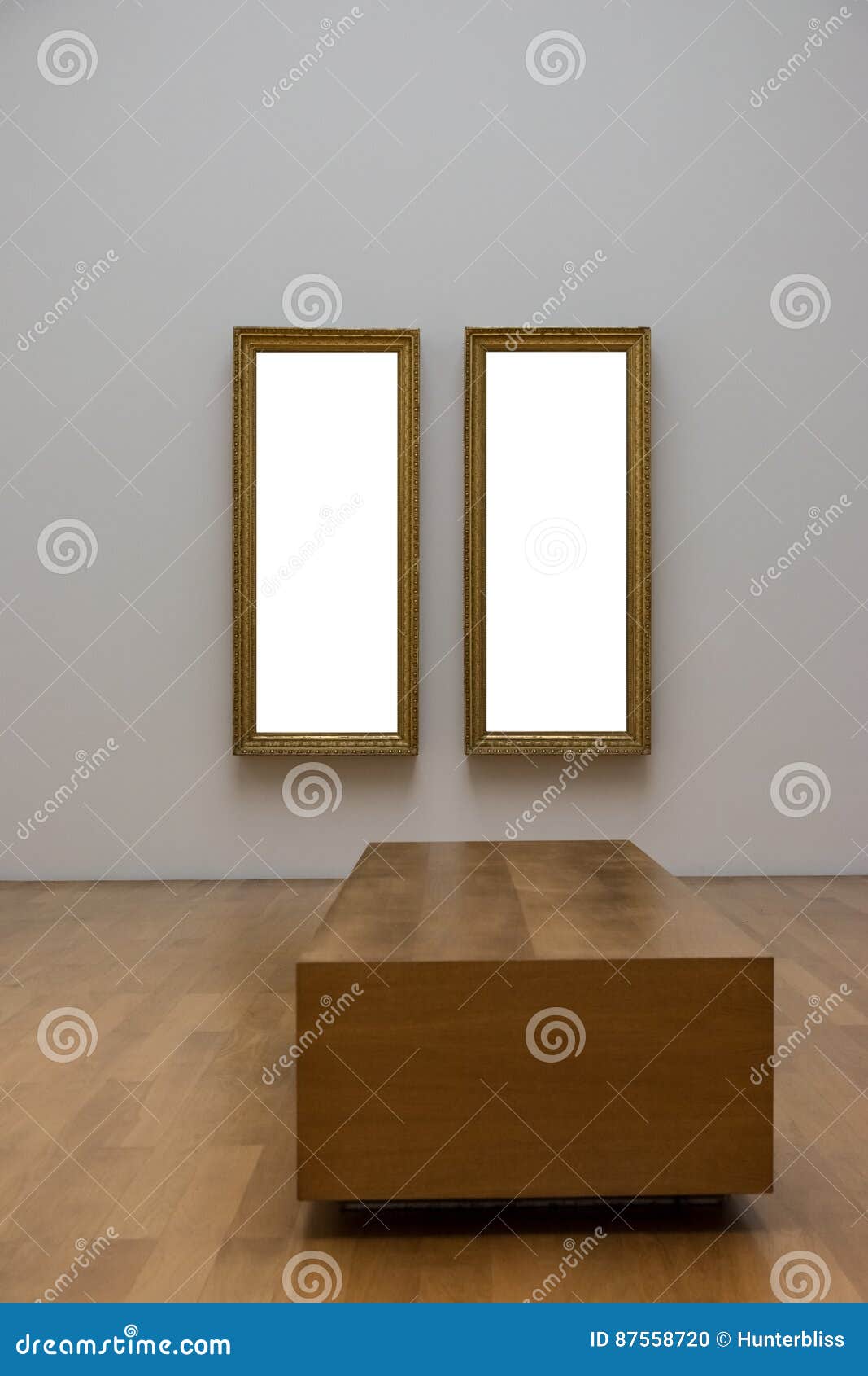 Blank White Art Gallery Frame Picture Wall White Contemporary Mo Stock ...