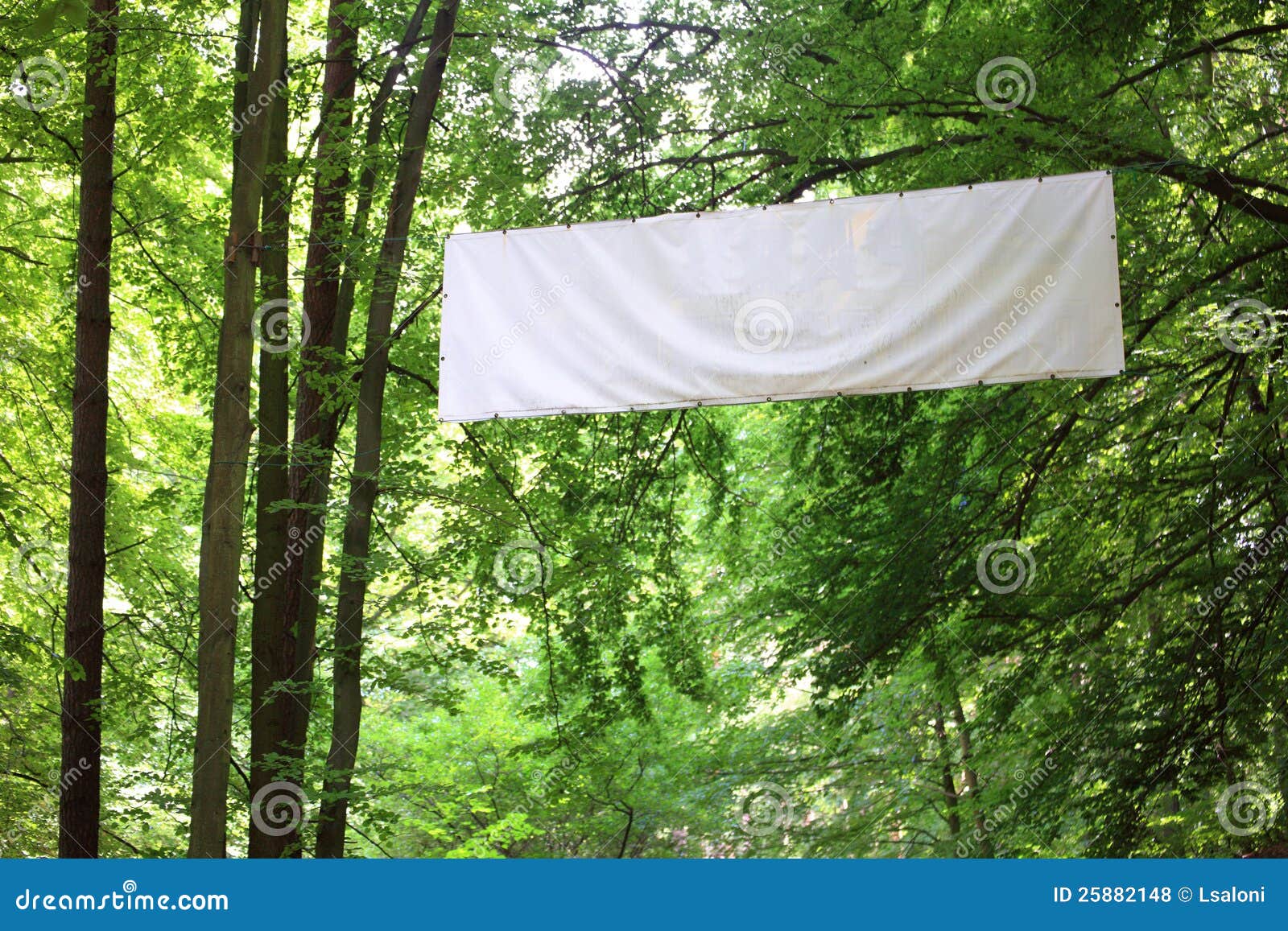 Blank White Board Banner Green Trees Stock Photo - Image of ...