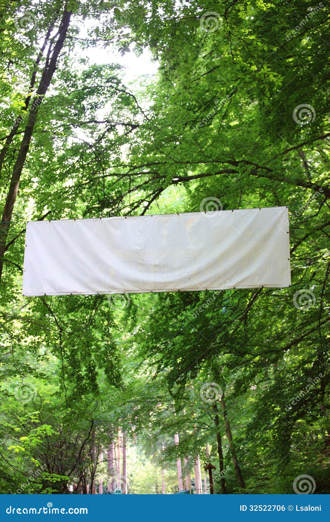 Blank White Board Banner Green Trees Stock Photo - Image of tree ...