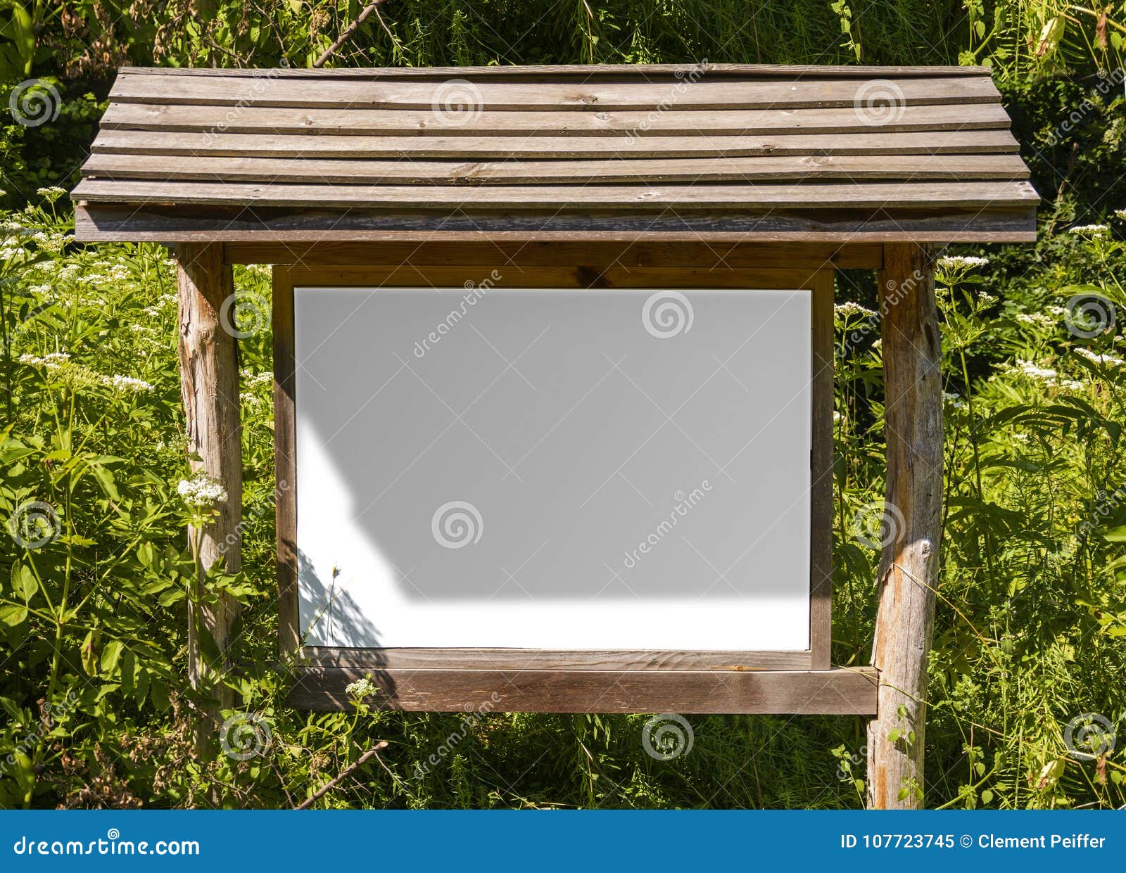 A Blank White Board in a Forest for Information ,sign for Advert Stock ...