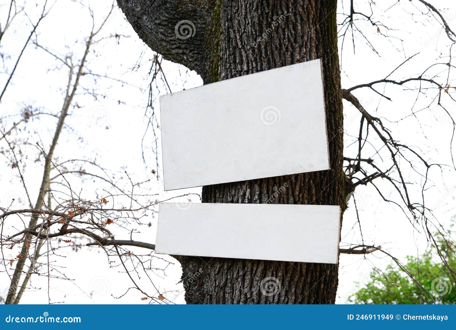 Blank White Boards Attached To Tree Trunk Outdoors. Space for Text ...
