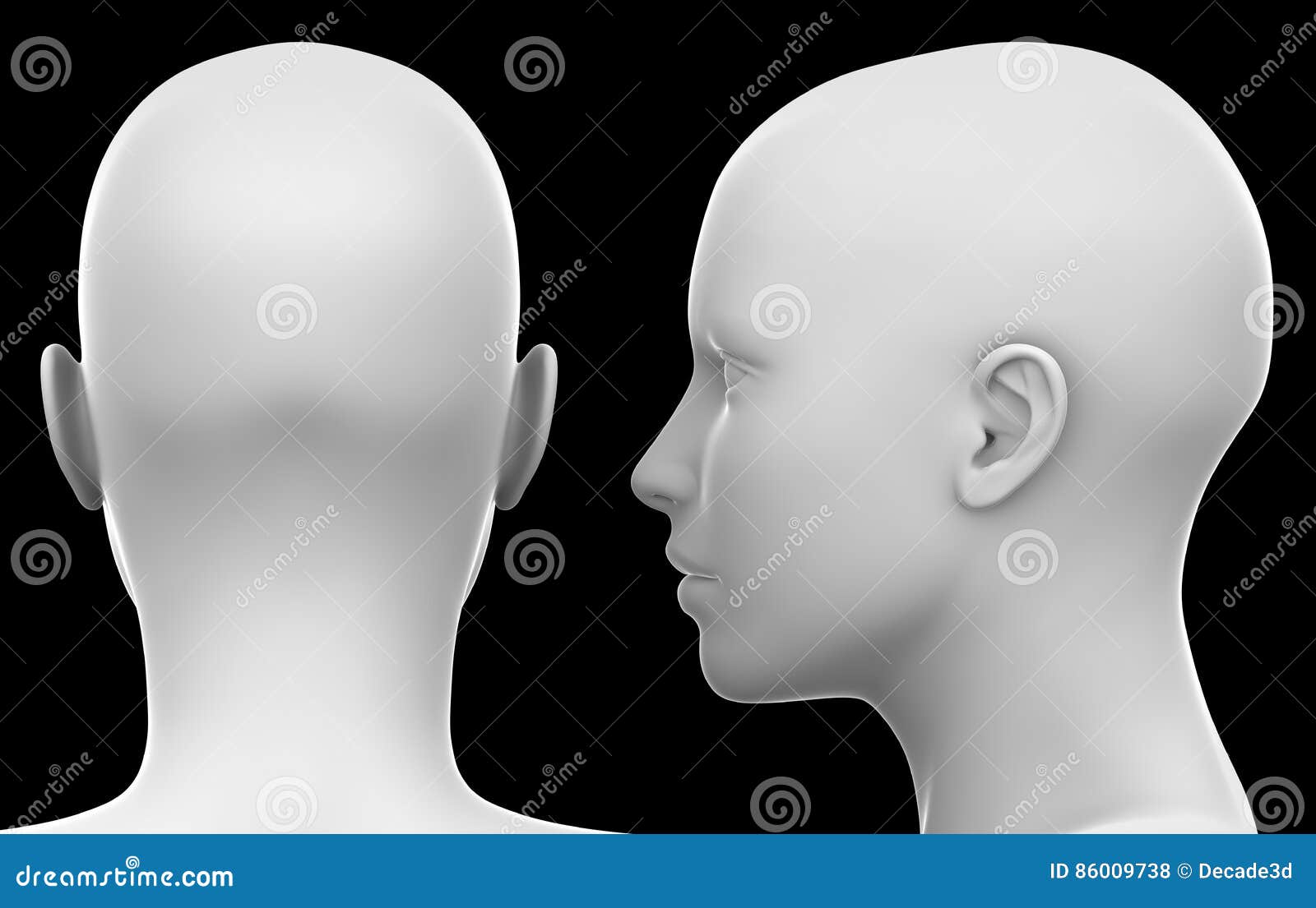 White Female Face Before After Plastic Surgery Jaw Reduction And Botox ...