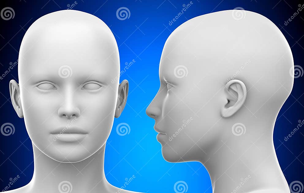 Blank White Female Head - Side and Front View 3D Illustration Stock ...