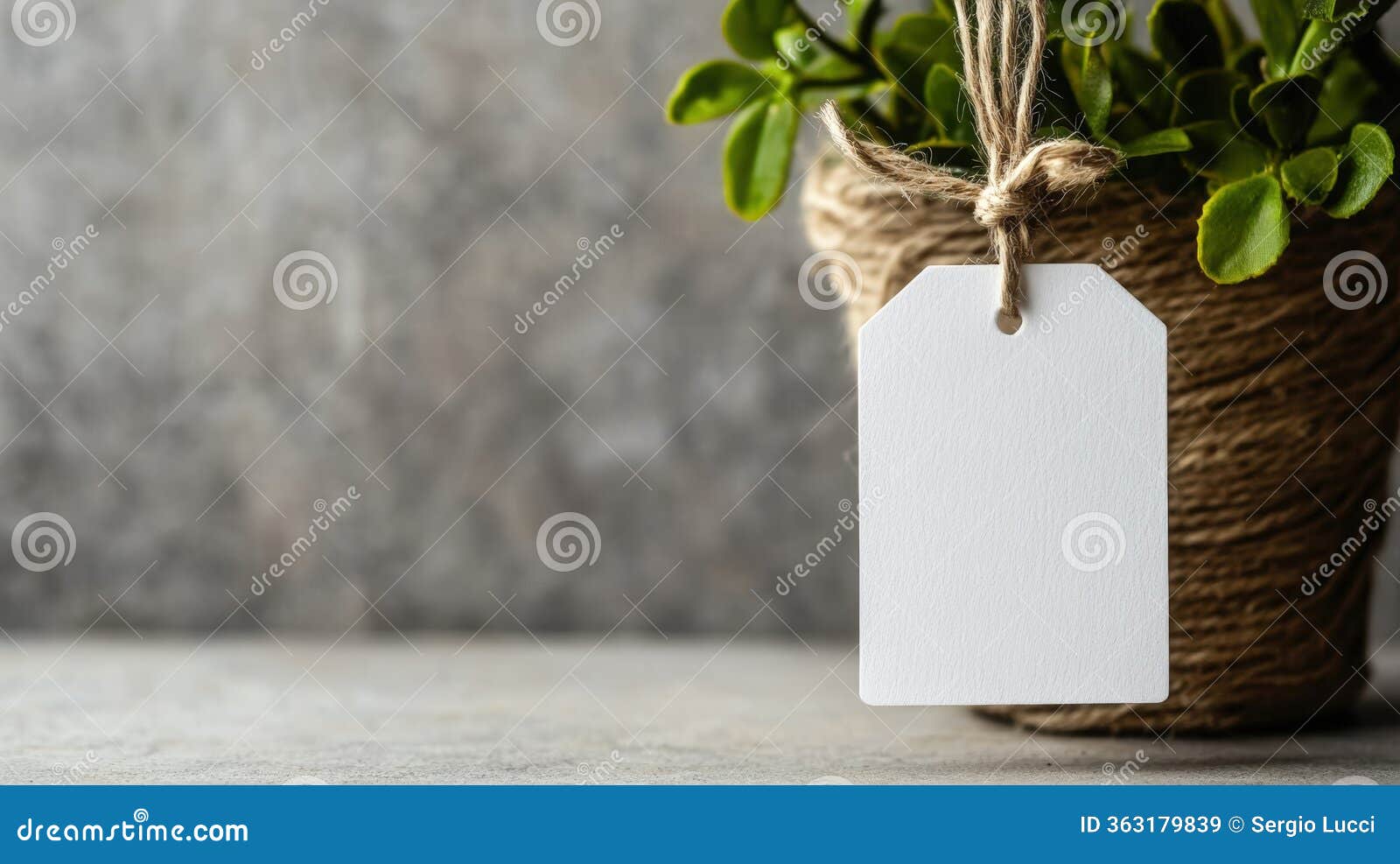 Blank White Gift Tag on Twine String with Rustic Plant Background for ...