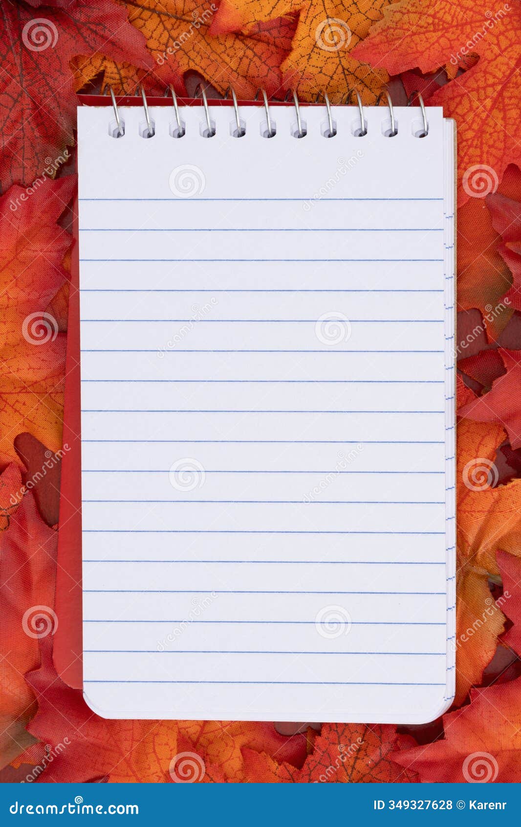 Blank White Notebook with Fall Leaves for Your Autumn Message Stock ...