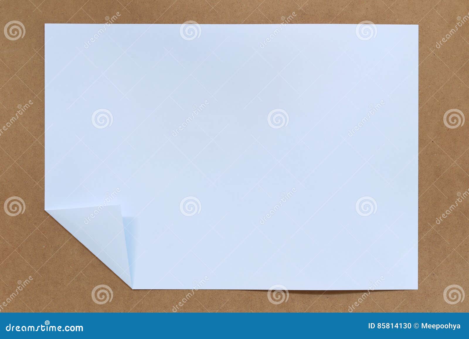 Blank white paper fold. stock photo. Image of page, blank - 85814130
