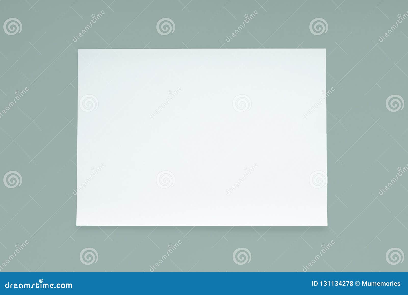 Blank white paper sheet stock photo. Image of object - 131134278
