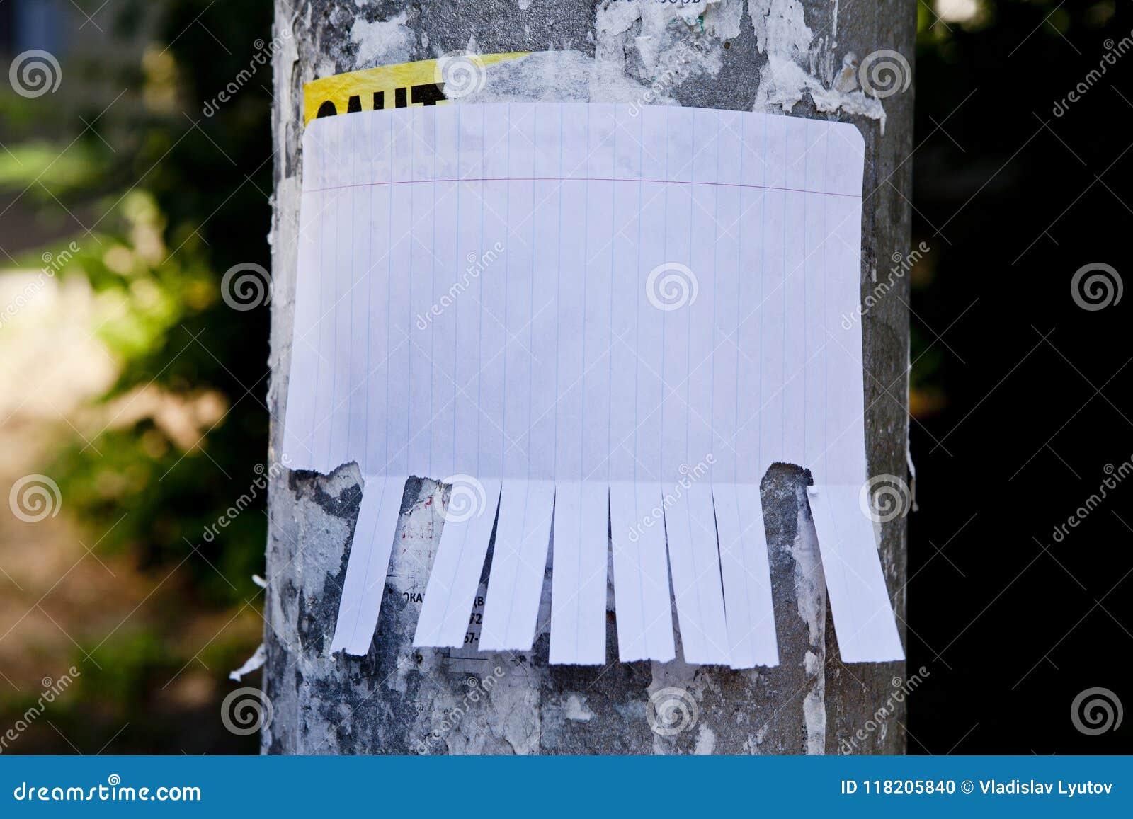 Blank White Paper with Tear Off Tabs. Stock Photo - Image of advertise ...