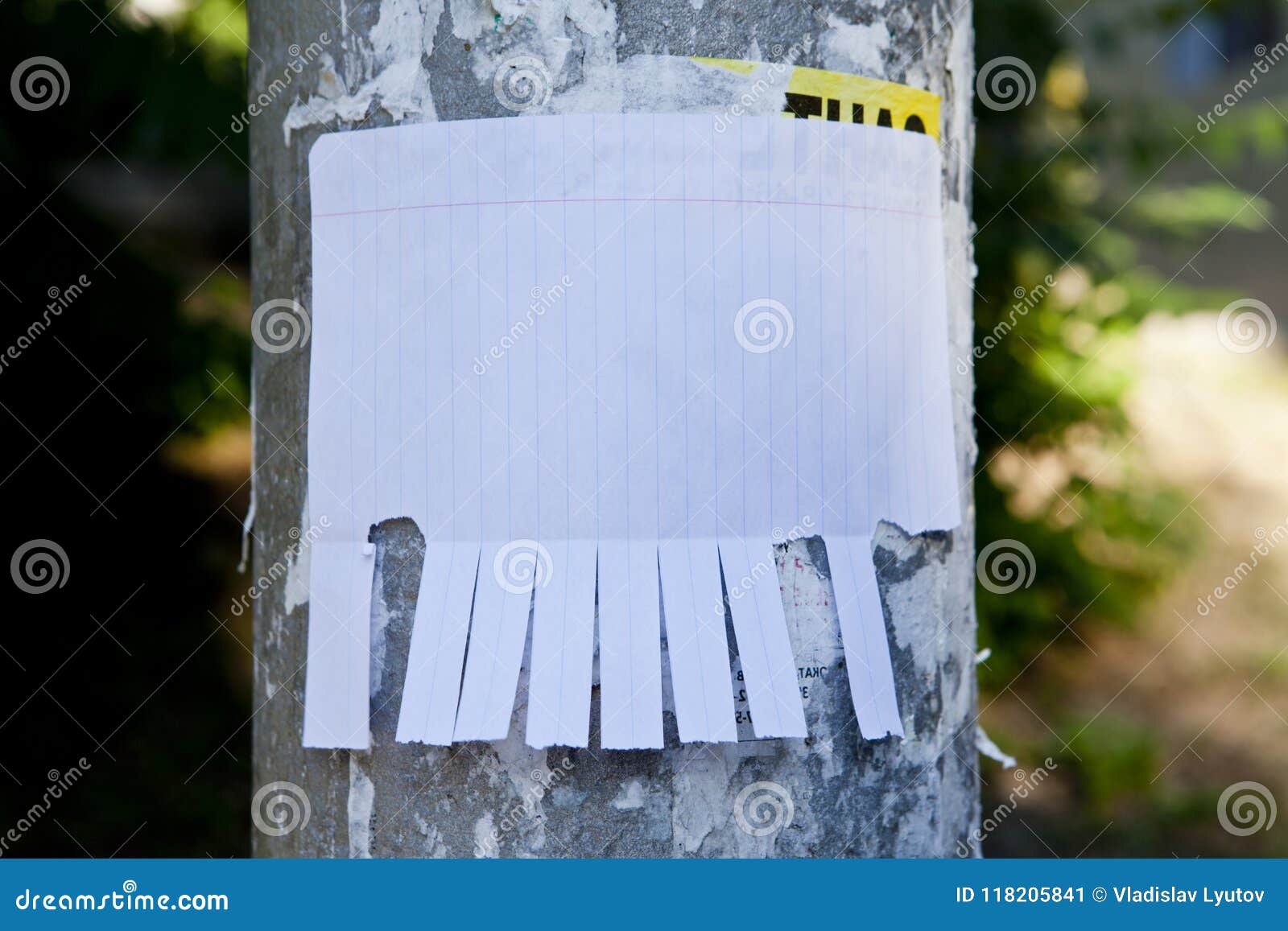 Blank White Paper with Tear Off Tabs. Stock Image - Image of advertise ...