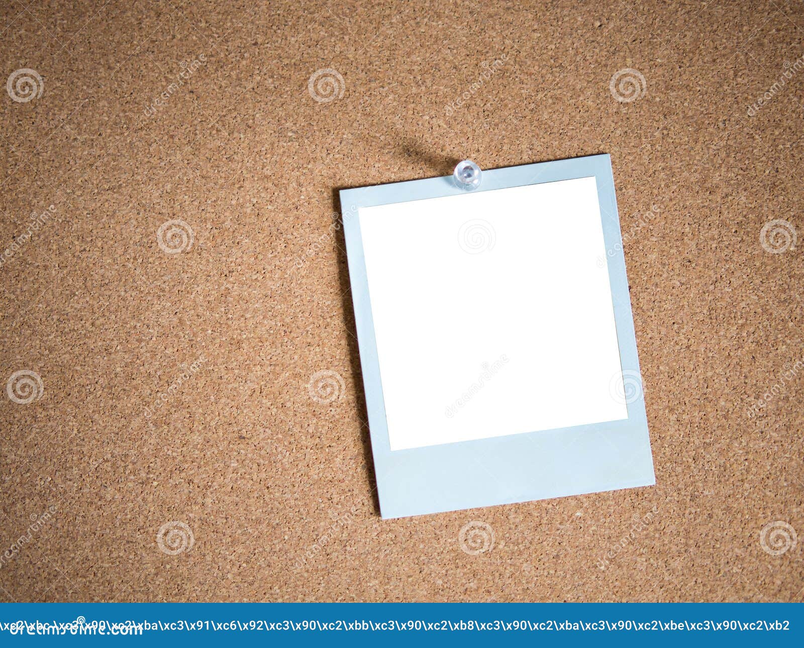 Blank White Photo Card Template on Cork Board Stock Photo - Image of ...