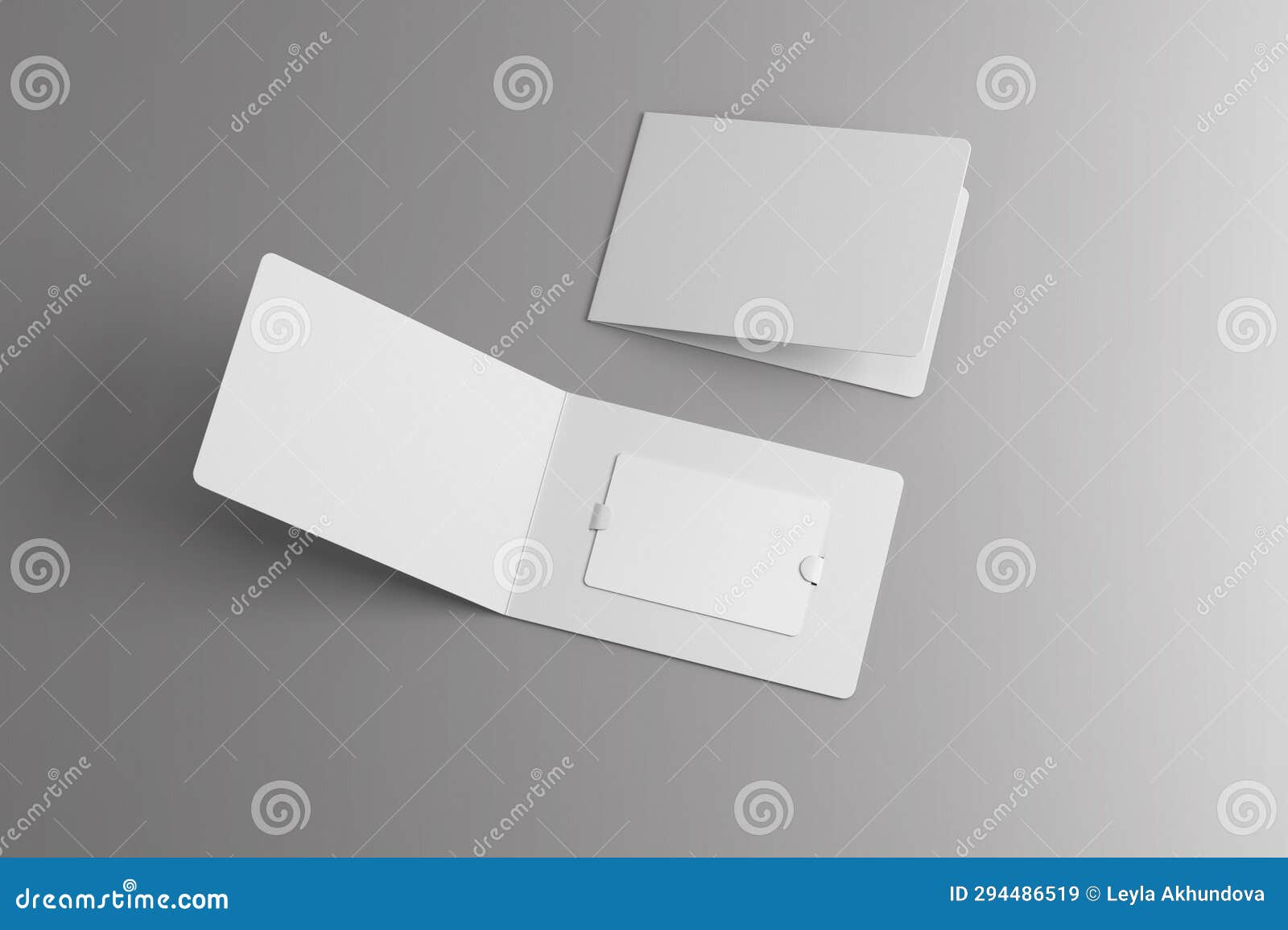 Blank White Plastic Card Mockup Inside Paper Booklet Holder, 3d ...