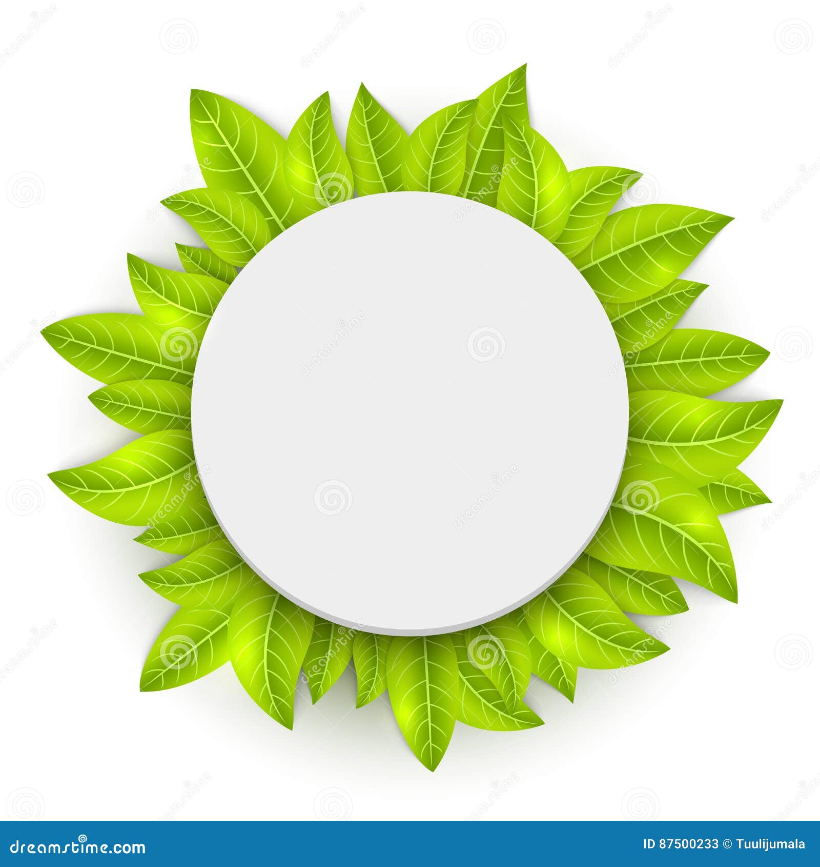 Blank White Round Banner with Green Leaves Stock Vector - Illustration ...