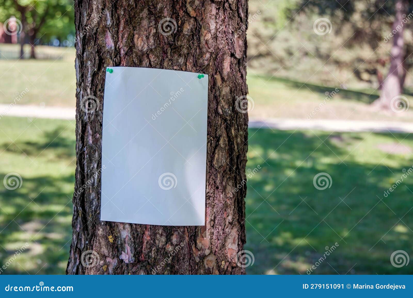 Blank White Sheet of Paper Notice at the Bark of Tree. Advertising ...