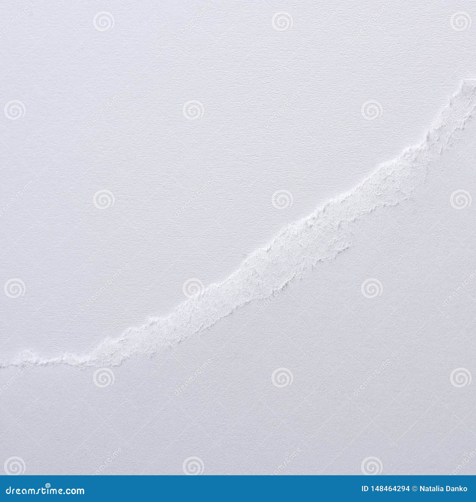 Blank White Sheet of Paper Torn, Torn Edge Stock Photo - Image of card ...