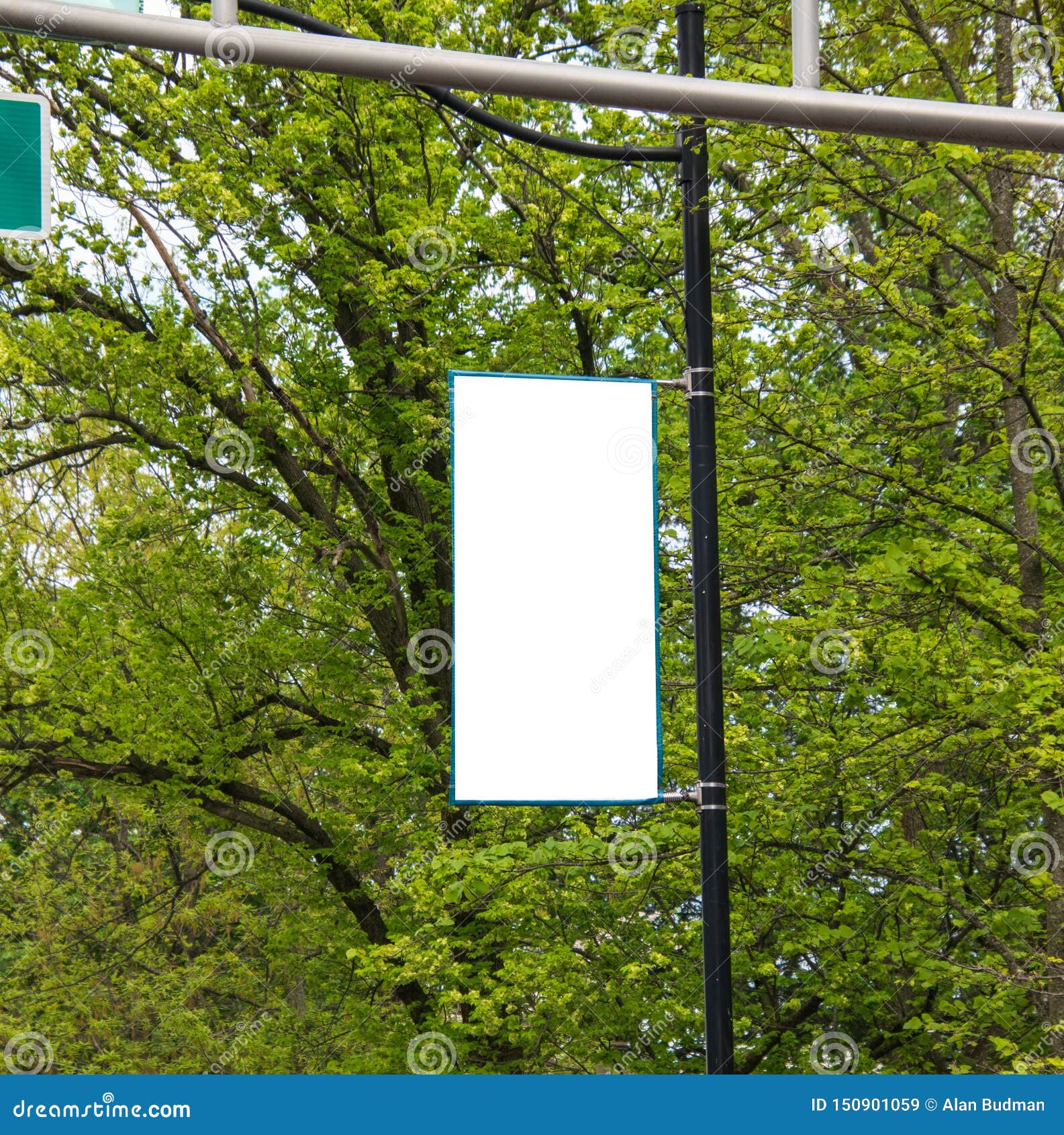 Blank White Sign Attached To a Light Pole with Trees in the Background ...