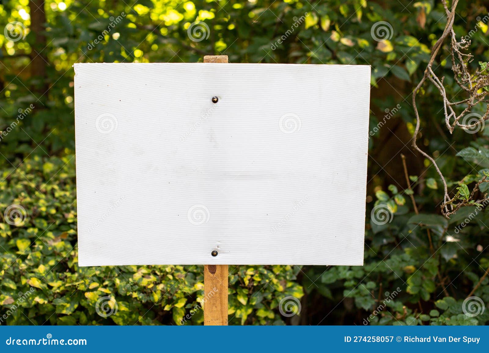 Blank white sign isolated stock image. Image of pole - 274258057