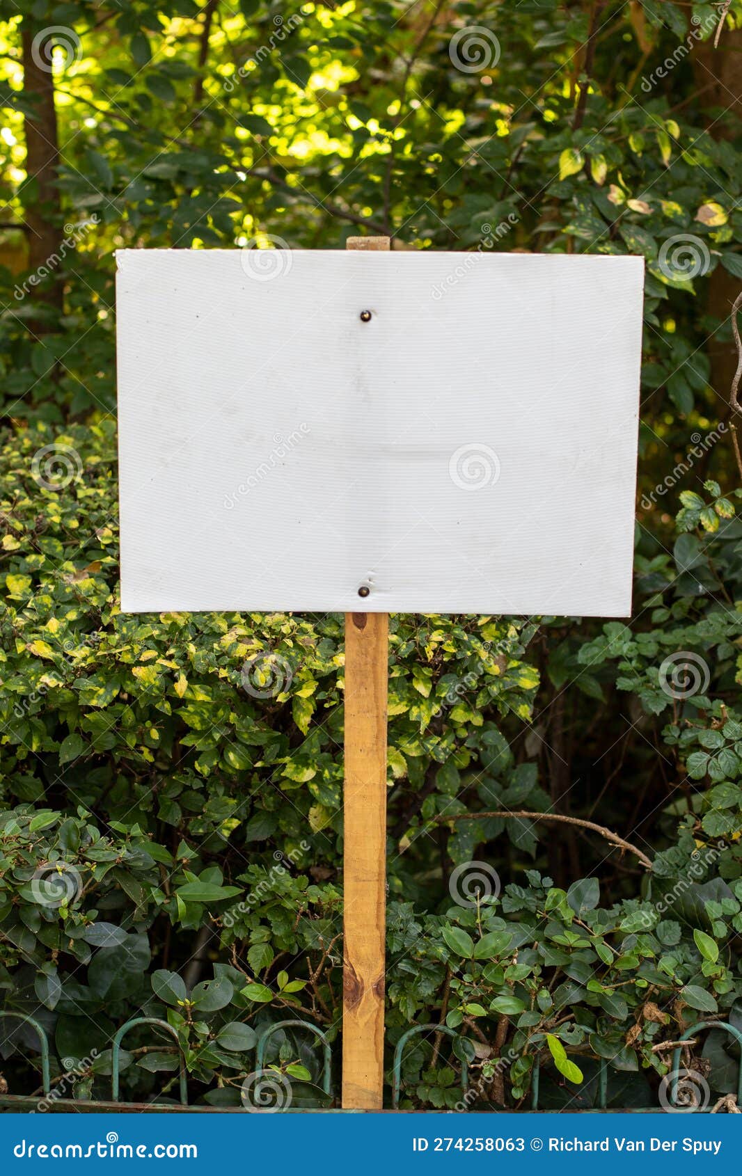 Blank white sign isolated stock image. Image of blank - 274258063