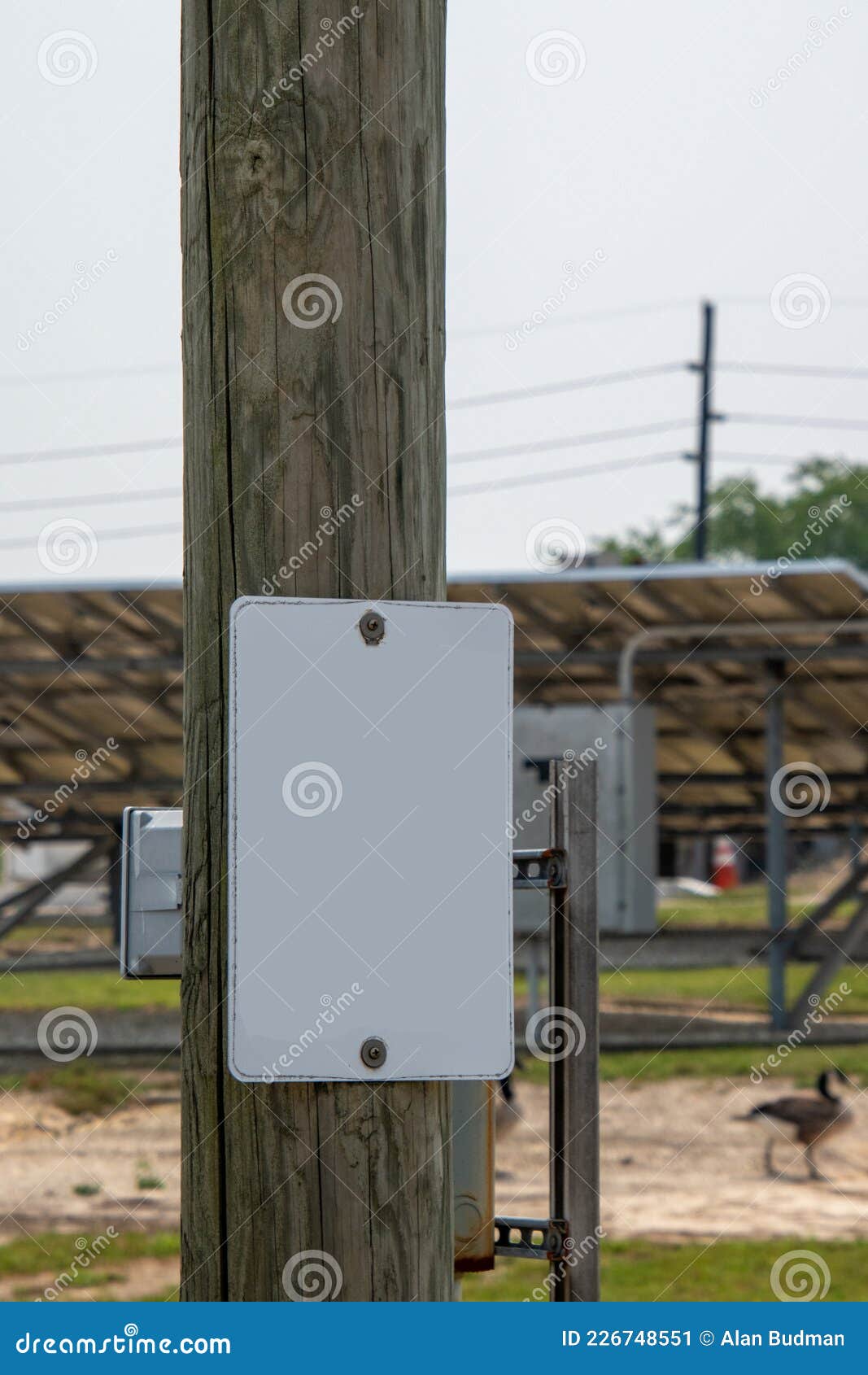 Blank White Sign on a Wooden Utility Pole in Front of a Solar Panel ...