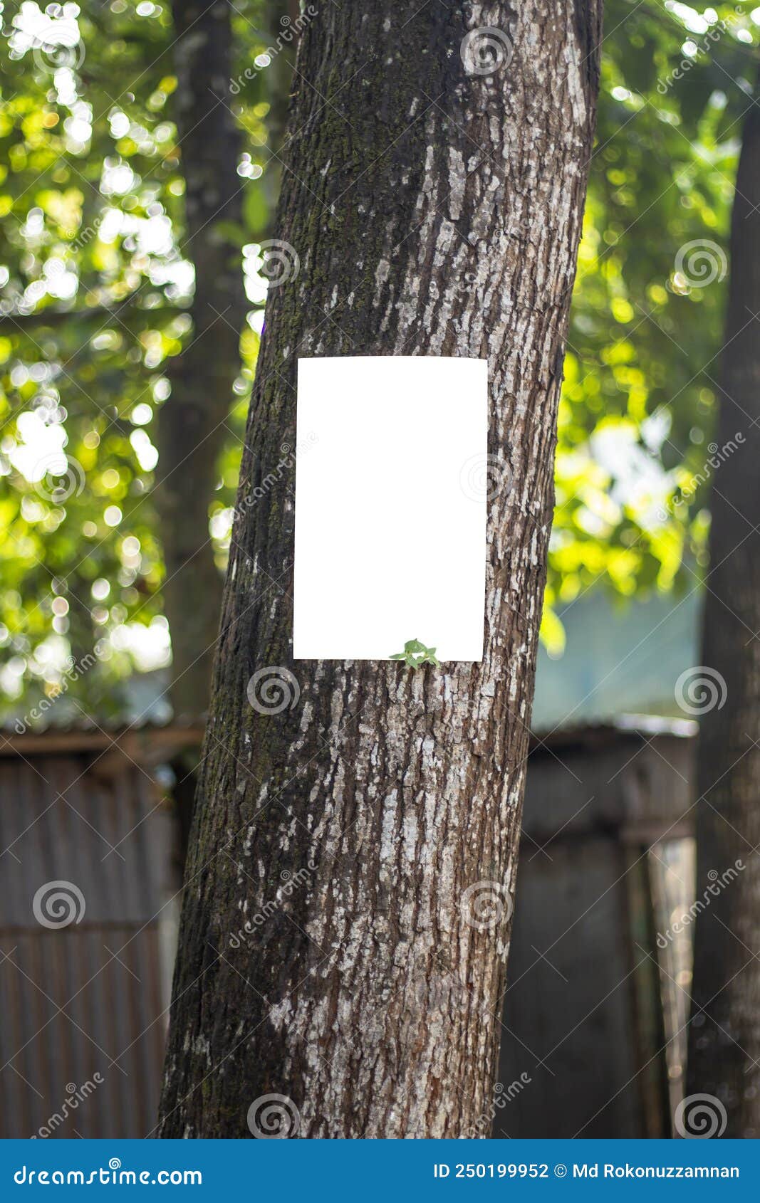 A Blank White Signboard Hanging with a Long Tree and the Background ...