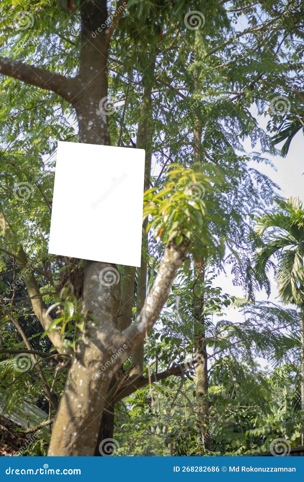A Blank White Signboard Hanging with a Long Tree and the Background ...
